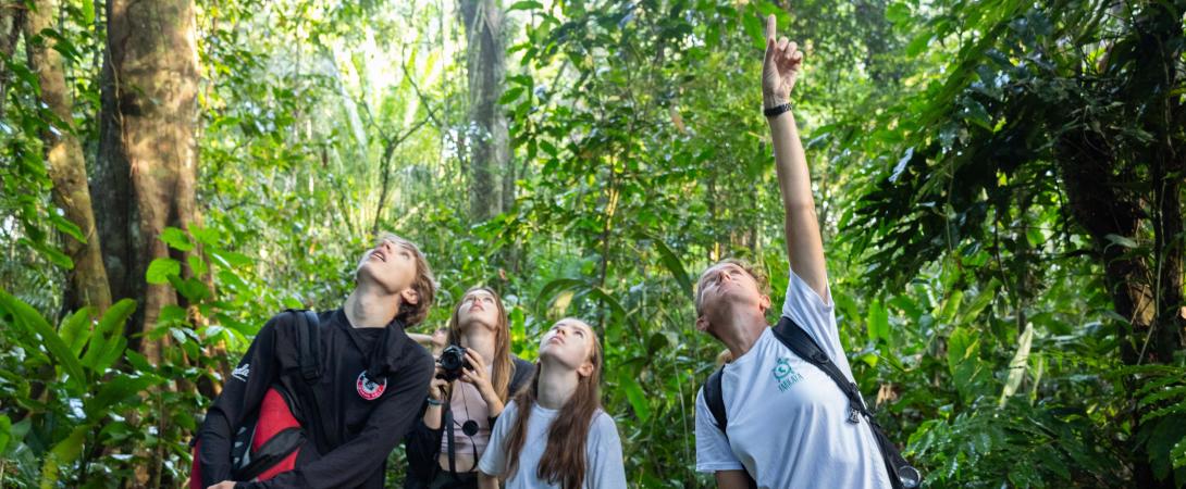 Peru Amazon Rainforest Conservation